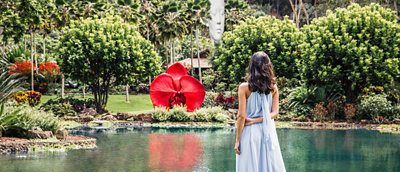 Sensei Consolidates Solutions Automates Workflows And Improves